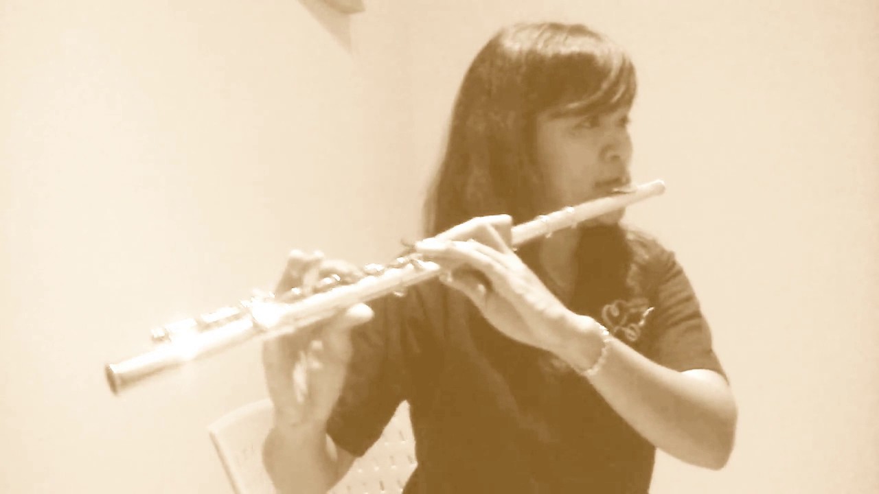 เพลง 보고싶다 (Bogoshipda) I Miss You (Flute Cover) - YouTube Music