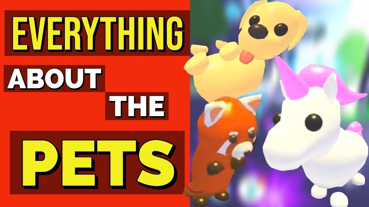 Adopt Me Pet Update-Everything About The Pets - YouTube