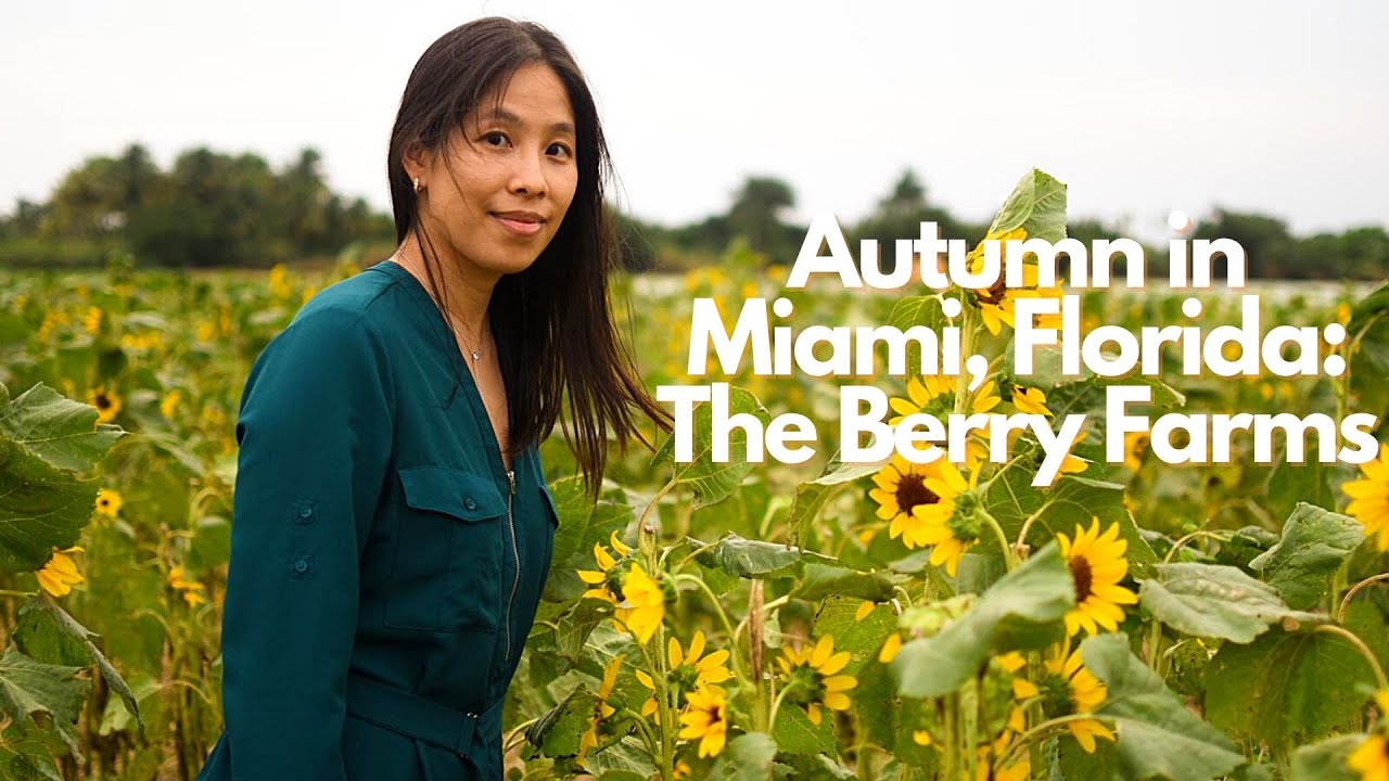 Autumn in Miami, Florida: The Berry Farms - YouTube