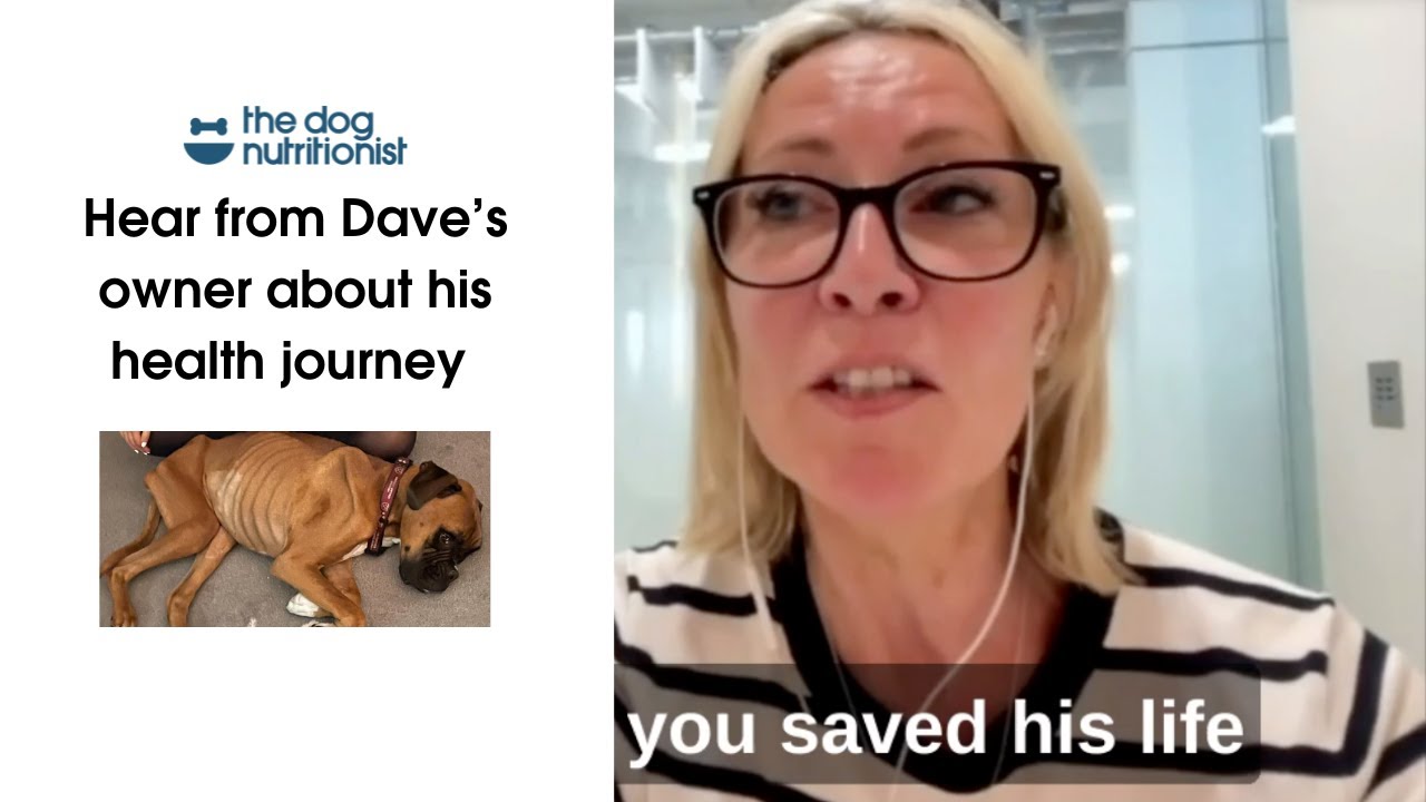The power of nutrition: Dave the Boxer's health transformation - YouTube