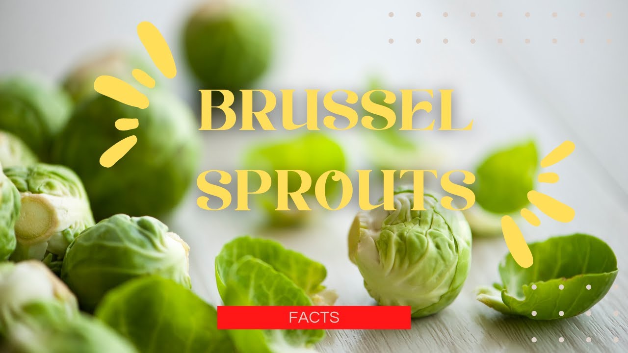 Brussel Sprouts - What makes Brussel Sprouts so very healthy and good ...
