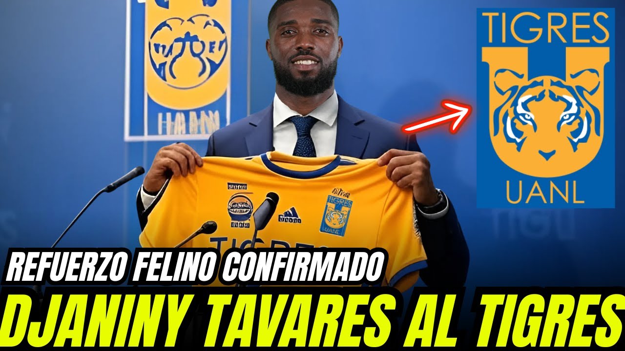 URGENTE! DJANINY TAVARES EN TIGRES Y LA AFICIÓN SE ILUSIONA CON GOLES A ...