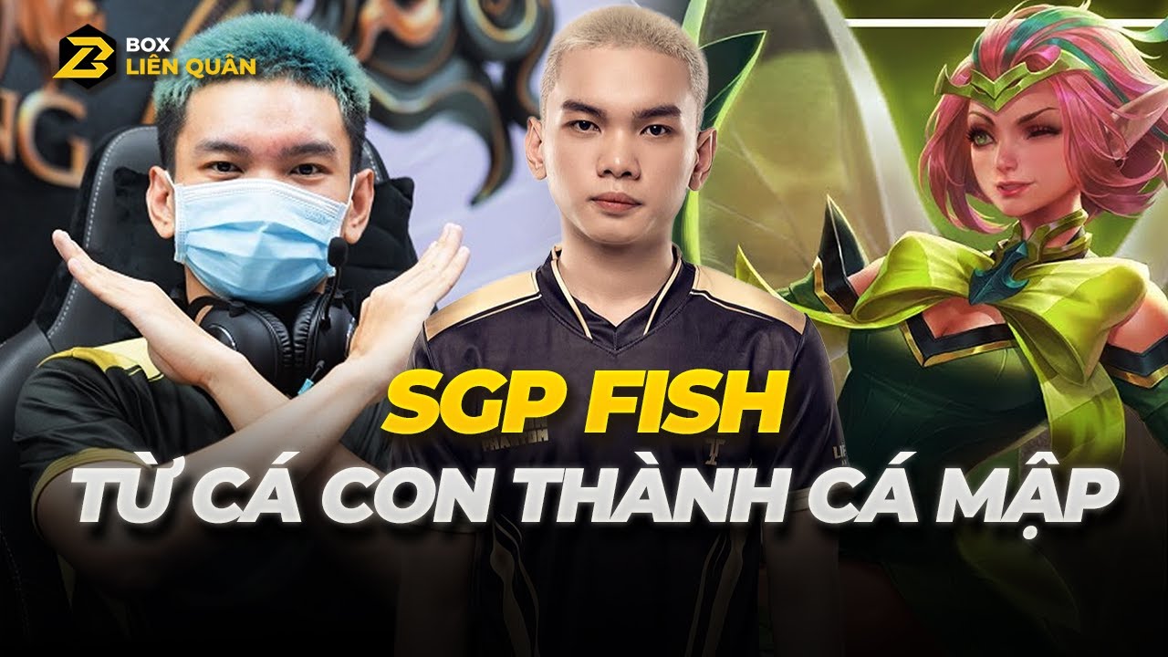Tiểu Sử Tuyển Thủ: SGP Fish - TỪ CÁ CON HÓA CÁ MẬP | Box Liên Quân ...