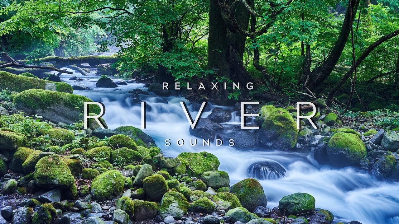 30 Minutes of Relaxing River Sounds: Forest Sounds - YouTube