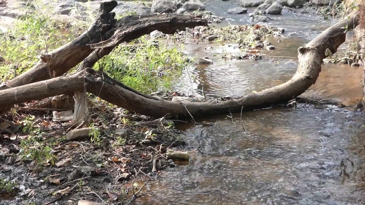 Buffering please wait...D2A - YouTube