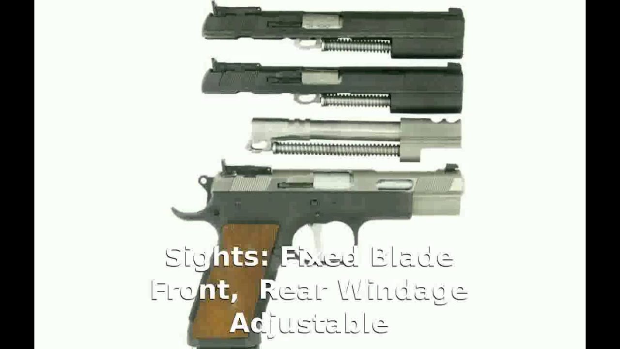 EAA Witness Steel Compact - Tanfoglio 10mm Auto Pistol Details Full ...
