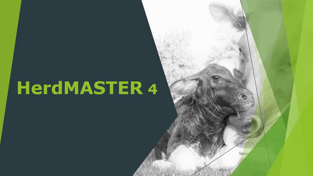 HerdMASTER 4 App - YouTube