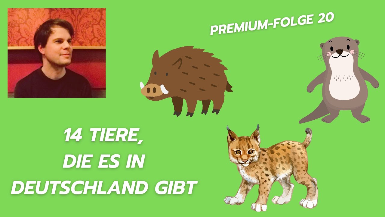 Premium-Folge 20 - 14 Tiere, die es in Deutschland gibt - YouTube