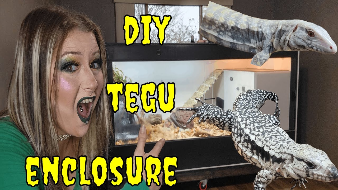Ultimate DIY Tegu Enclosure - YouTube