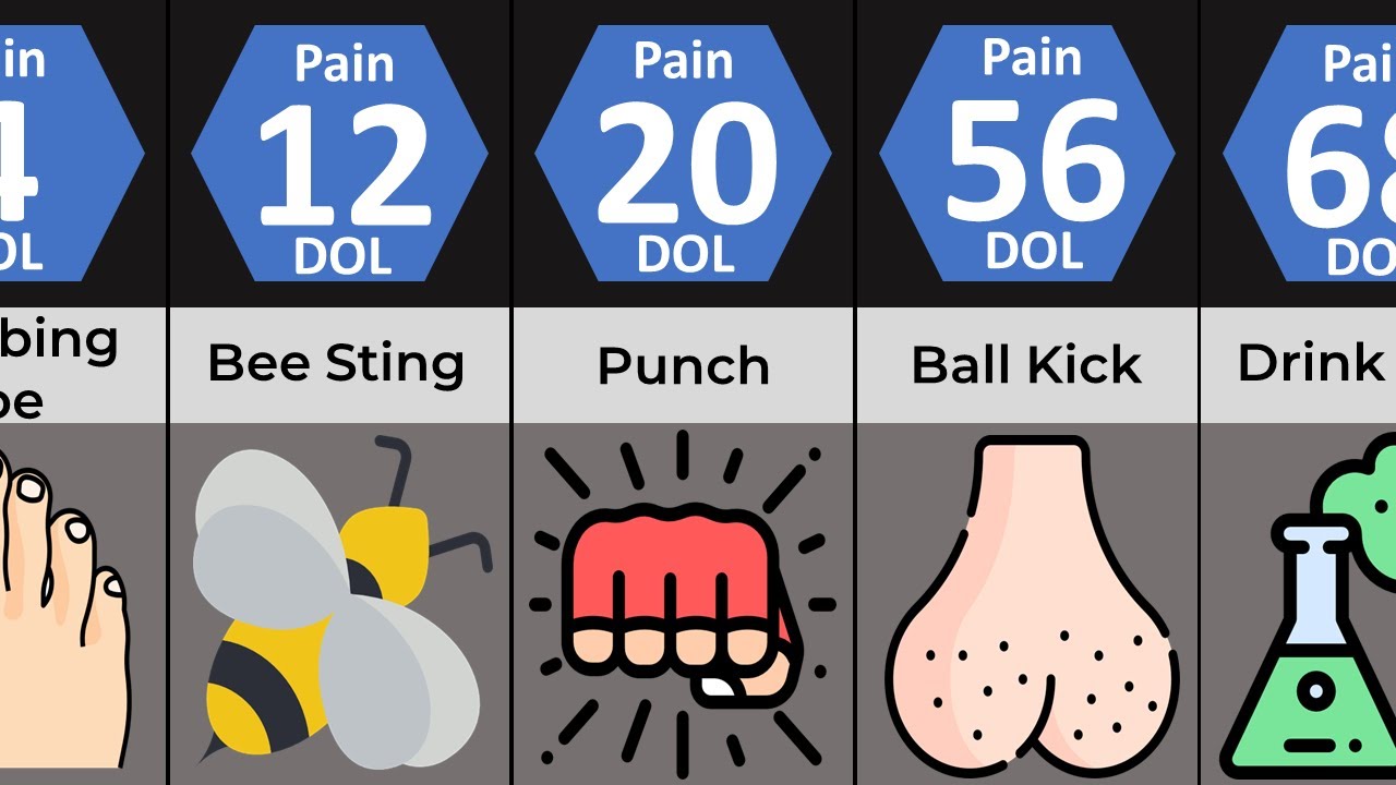 Comparison: Human Pain - YouTube