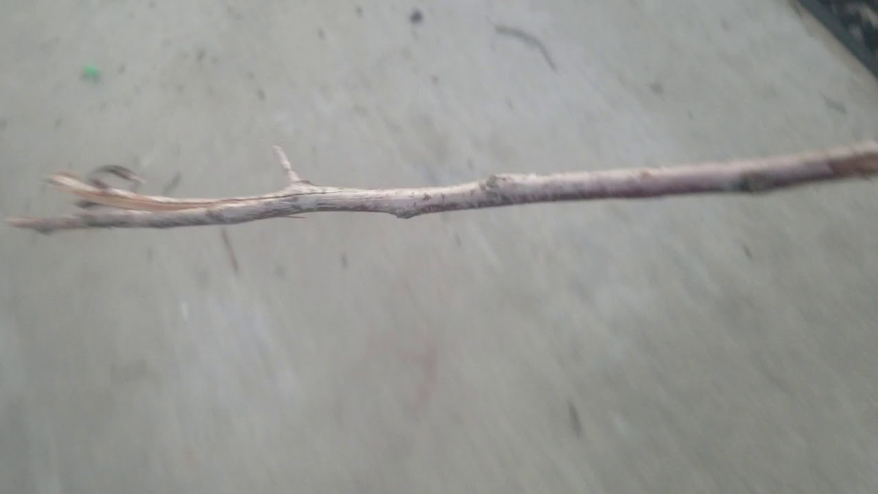 Breaking Stick! (Breaking Episode 1) - YouTube