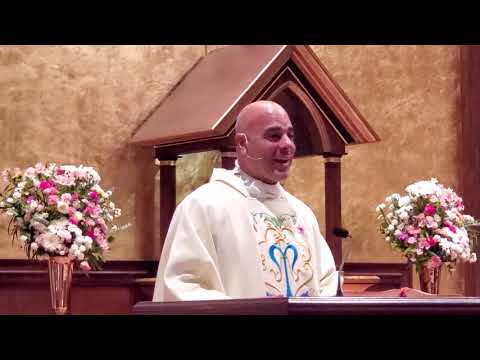 Father Zoghby - Gospel & Homily - Memorial of St. Bernard, Abbot - YouTube