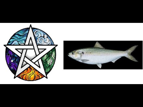 Leslie Fish Pagan Fish 10-Tienanmen Lessons - YouTube