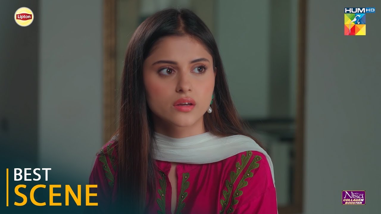 Very Filmy - Ep 02 - Best Scene 03 #dananeermobeen #ameergilani - HUM ...