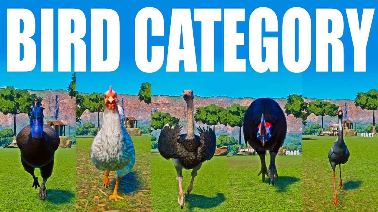 Bird Category Speed Races in Planet Zoo included Abyssinian Ground ...