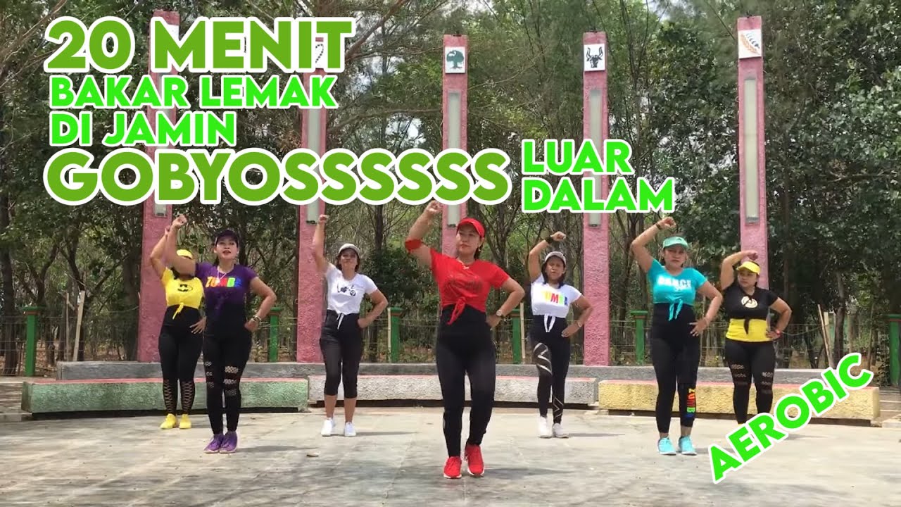 SENAM AEROBIC - LENGKAP - PEMULA 20 MENIT - YouTube
