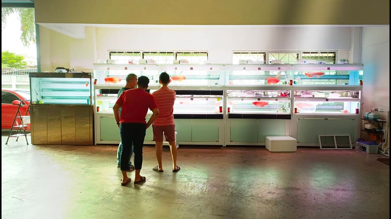 Dee Aro Plus - "อโรพลัส" หนึ่งใน Land Mark ย่านบางบอนที่ NC. มักจะชวนเพื่อนสมาชิกมาเที่ยวชมเสมอ ...