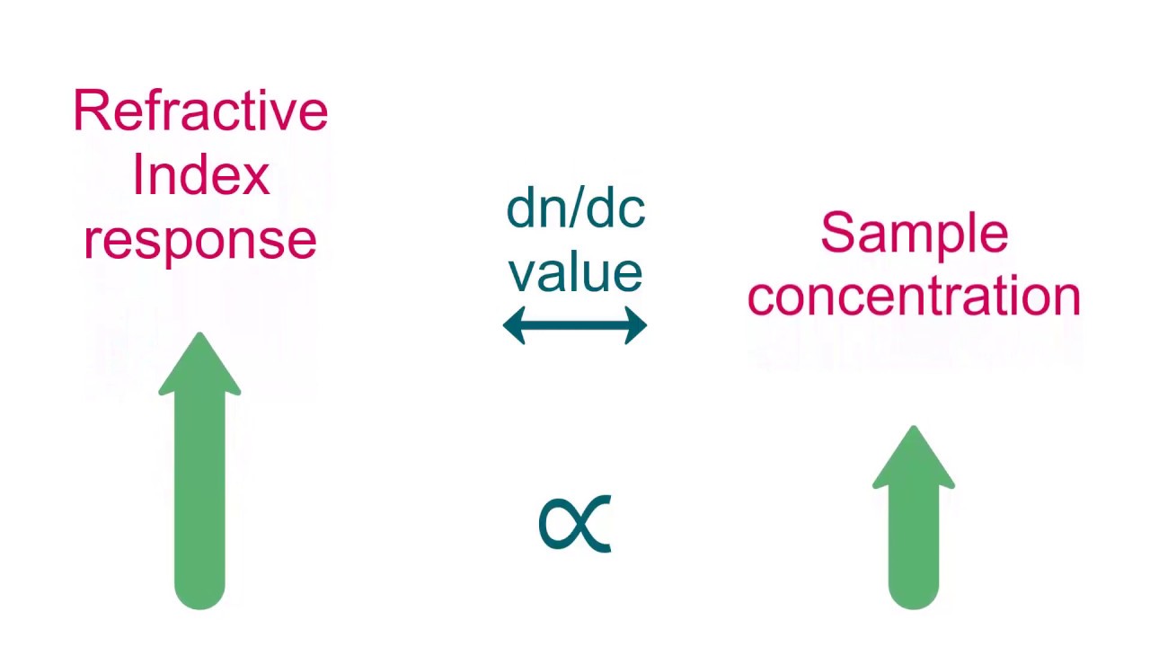 How to calculate dn/dc in the OMNISEC software - YouTube
