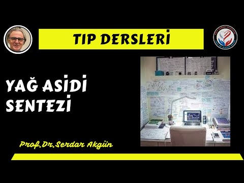 Yağ Asidi Sentezi, Ders, Serdar Akgün, Tıp Dersleri, Serdar Akgün Videoları
