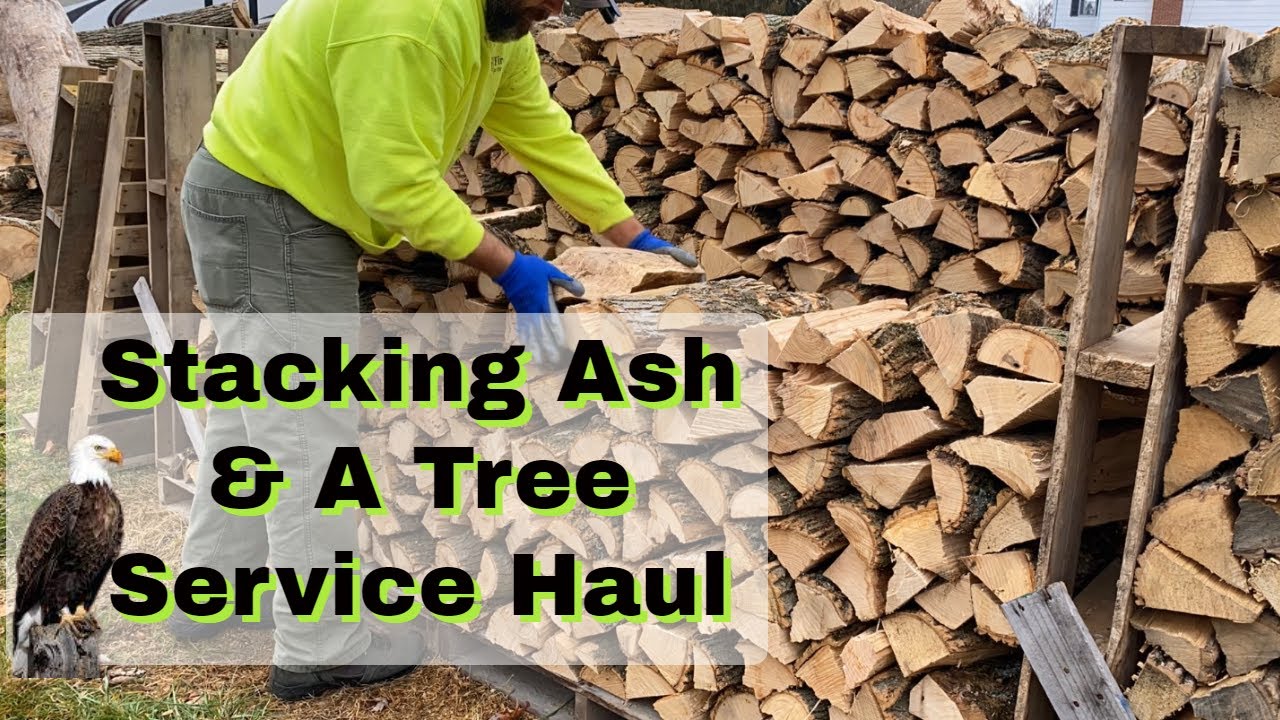 STACKING ASH FIREWOOD & A LOAD FROM THE TREE SERVICE - #53. - YouTube
