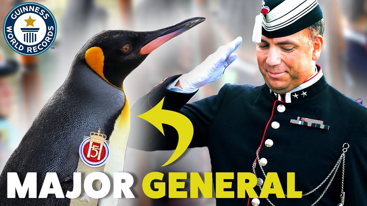 Meet Sir Nils Olav: The Norwegian Army's Penguin Officer - Guinness ...