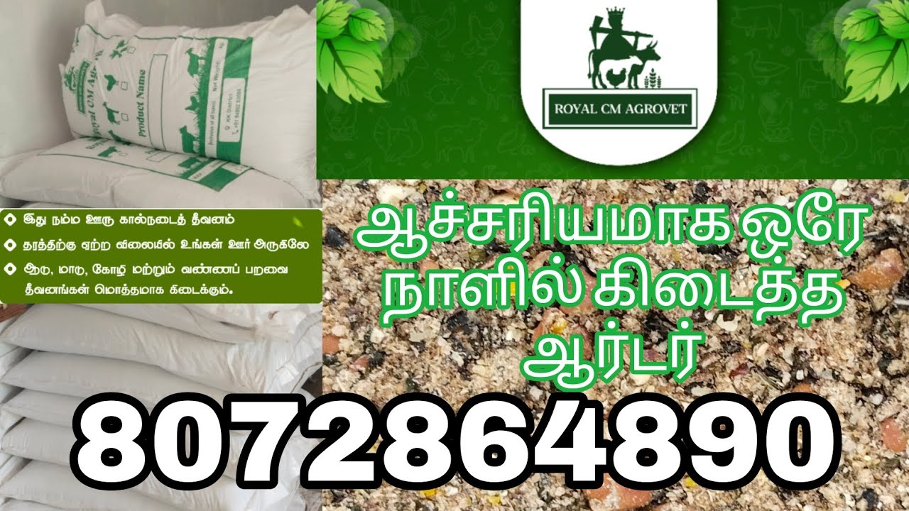 பால் உற்பத்தி அதிகரிக்க, paal maadu kalappu thavidu, kalappu theevanam ...