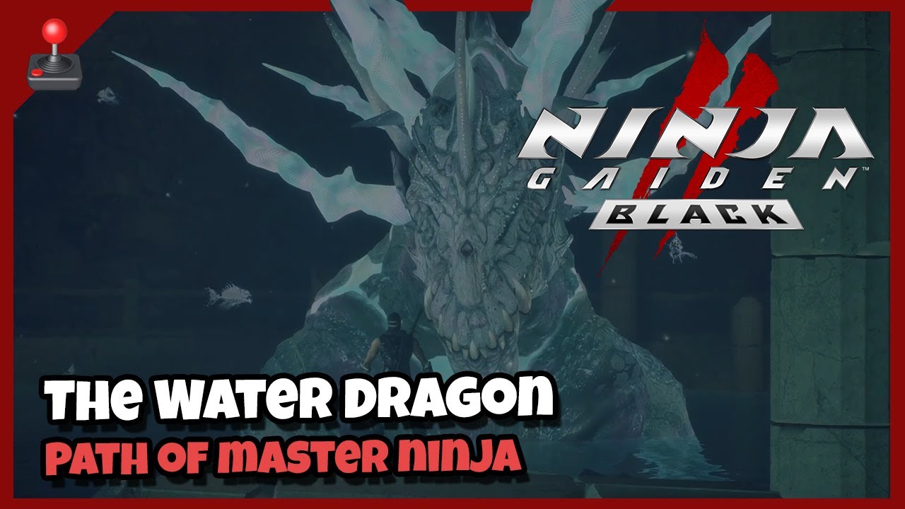 The Water Dragon - Path of master ninja - Ninja Gaiden 2 Black - YouTube