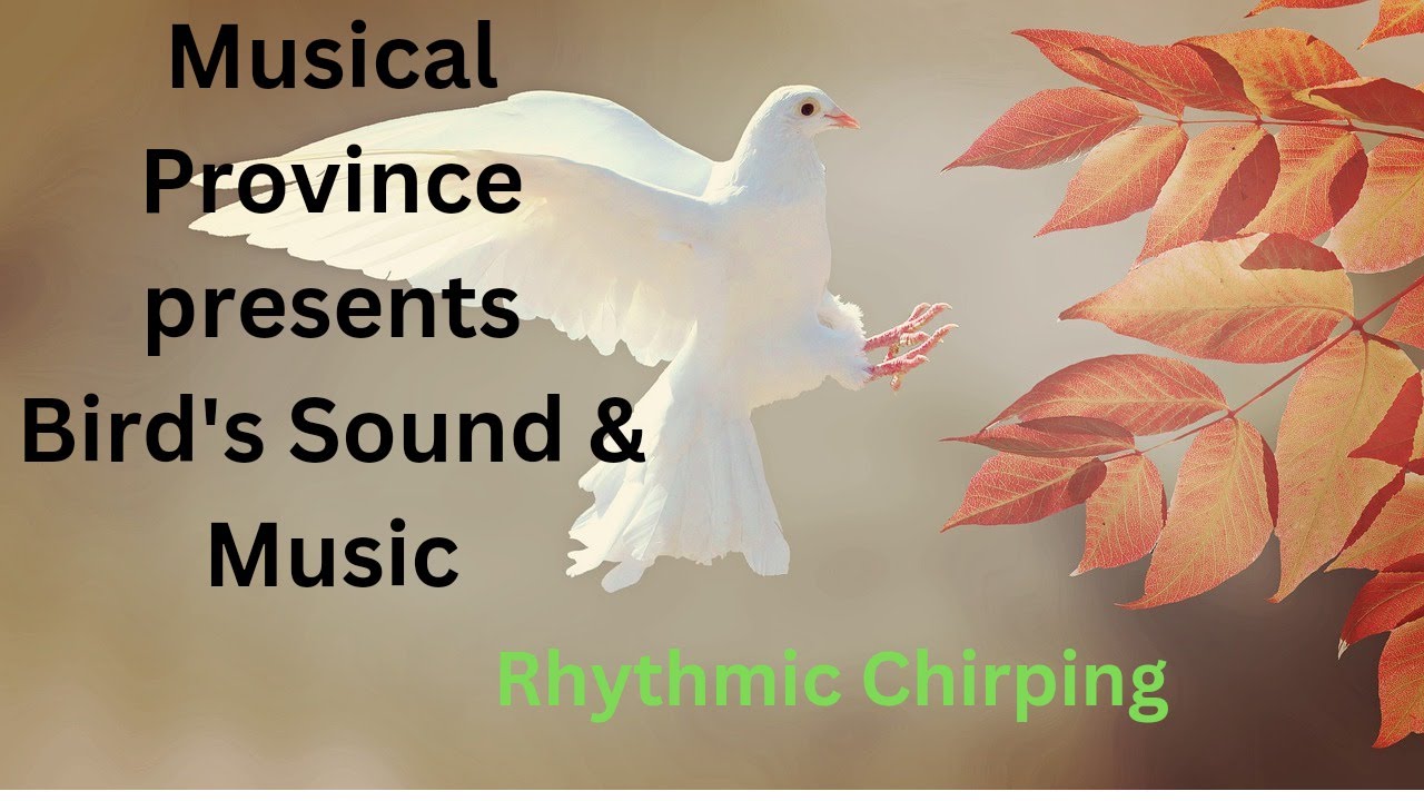 bird chirping music, natural music with beautiful birds @musical ...