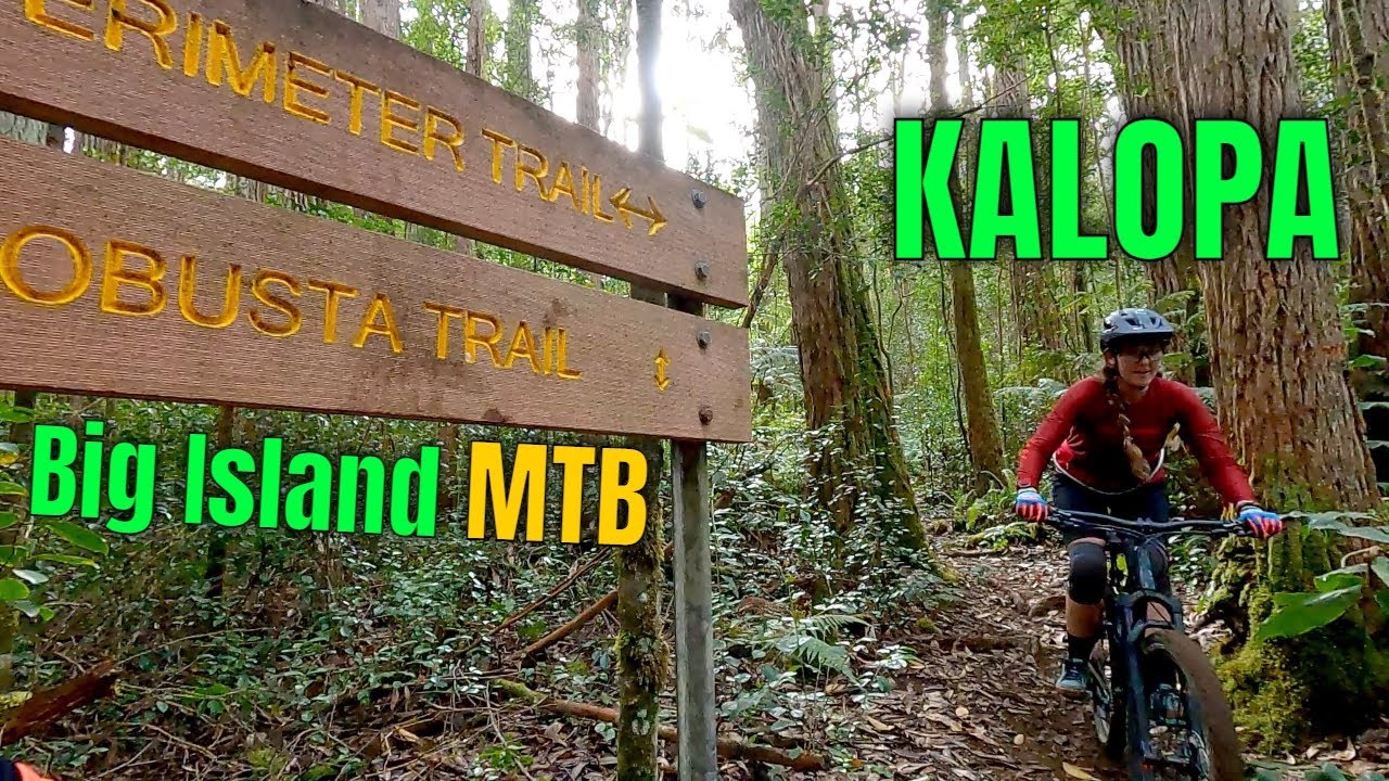 Never Again! - Kalopa MTB Mudfest | Mountain Biking Trails Big Island ...