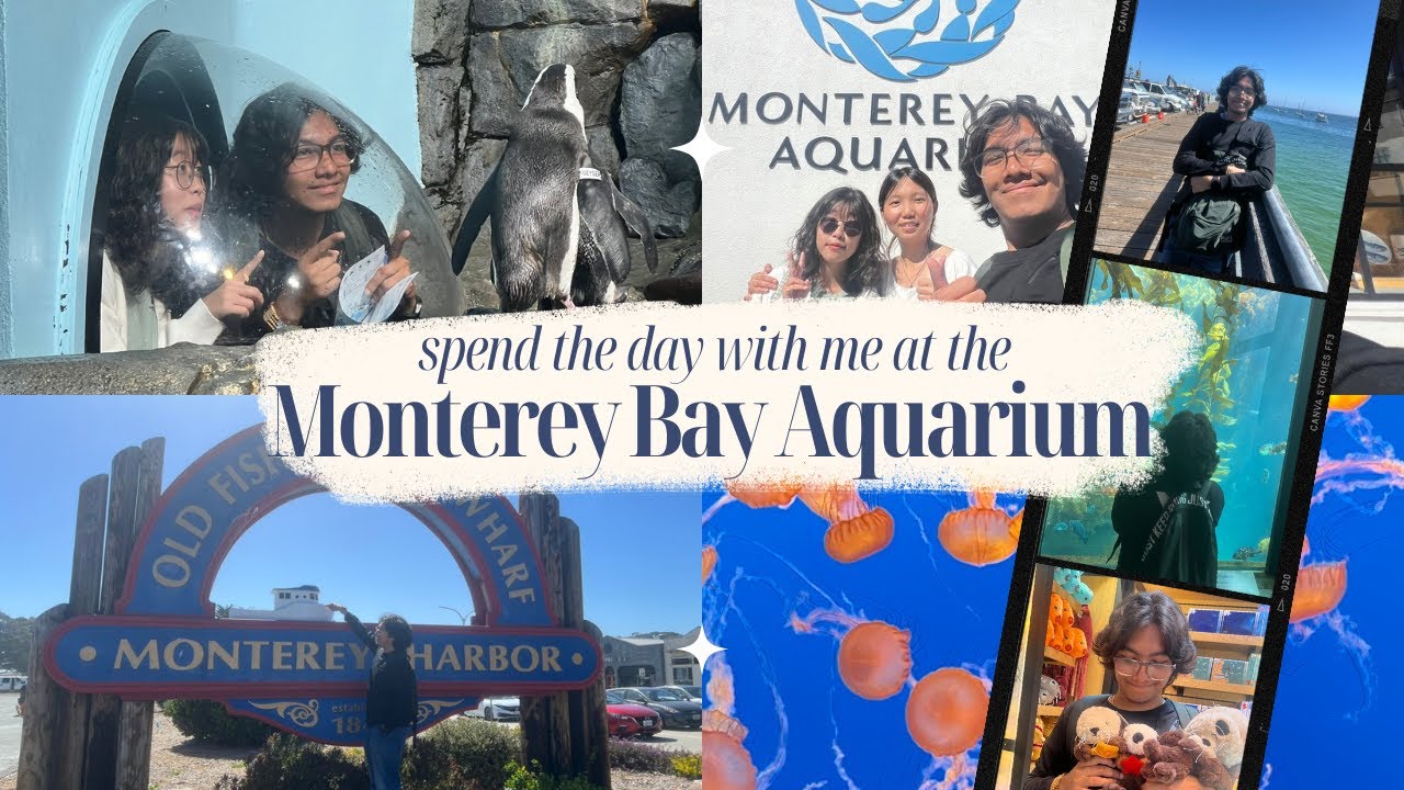 Monterey Bay Aquarium, Monterey CA | Biology Class Field Trip 2024 ...