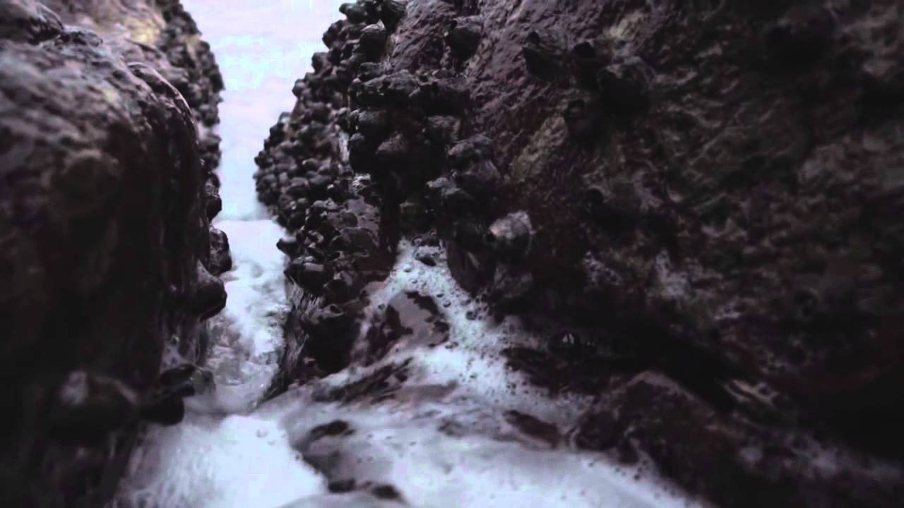 4 Elements - Trailer - YouTube