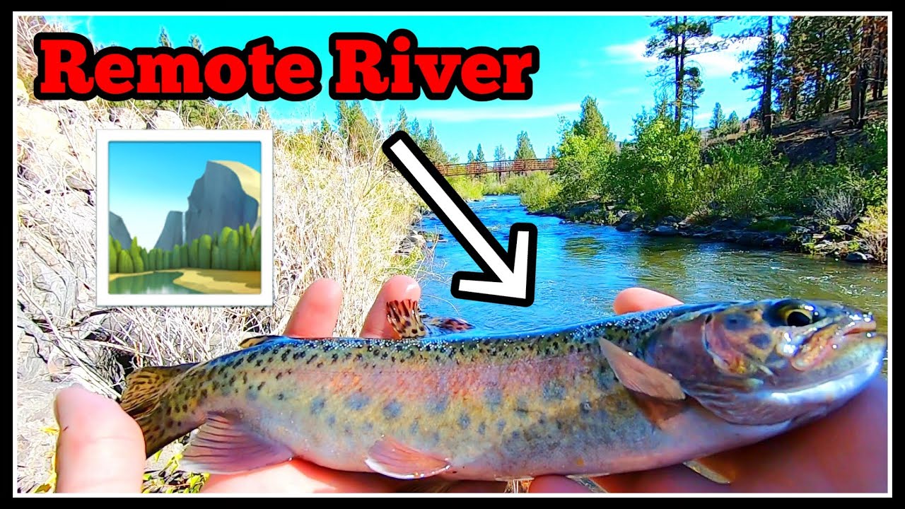 Fishing REMOTE OREGON River For BEAUTIFUL Trout!! (4 Day Camping ...