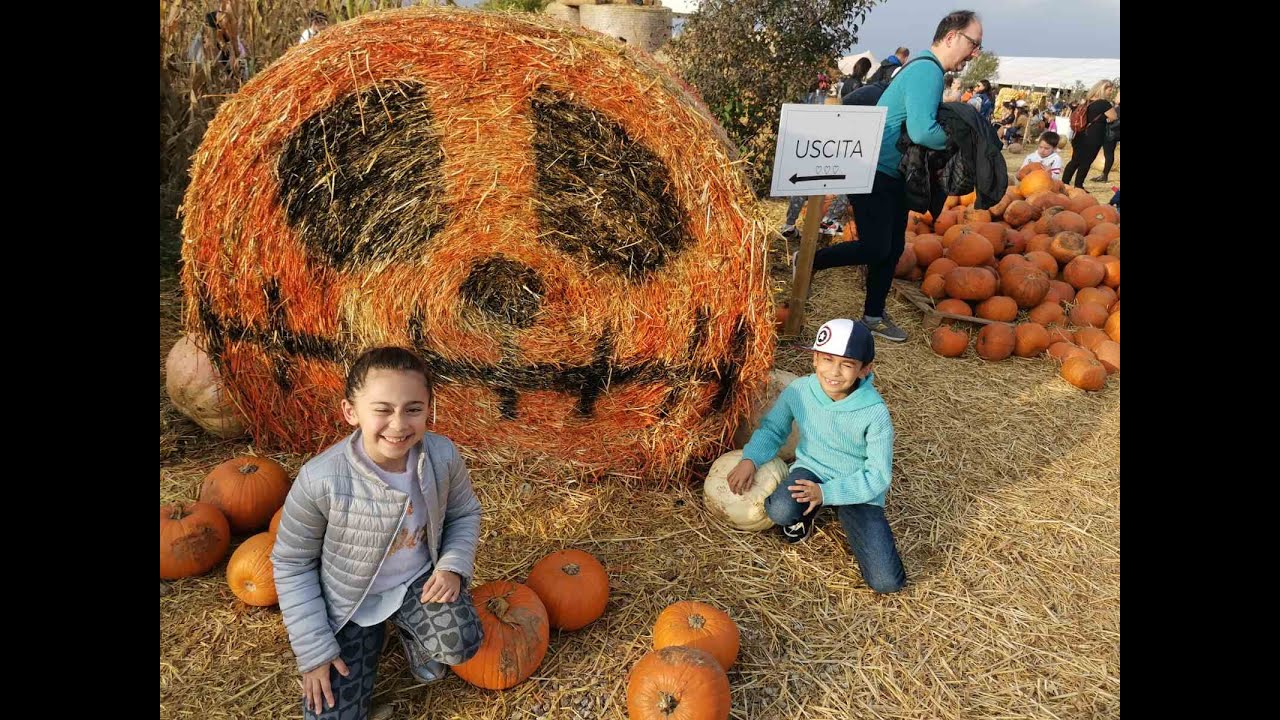 Villaggio delle zucche🎃🚜 - Farm NONNO ANDREA - YouTube