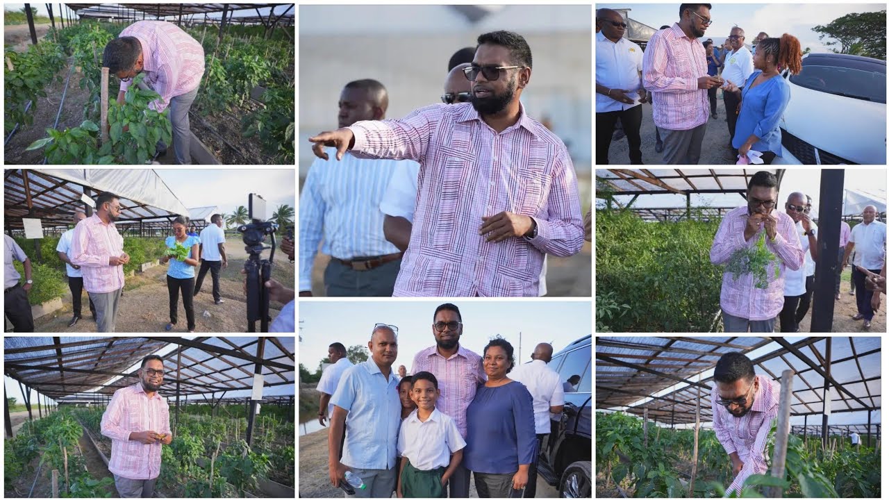 President Dr Irfaan Ali visits Hydroponics farm and shade houses - YouTube