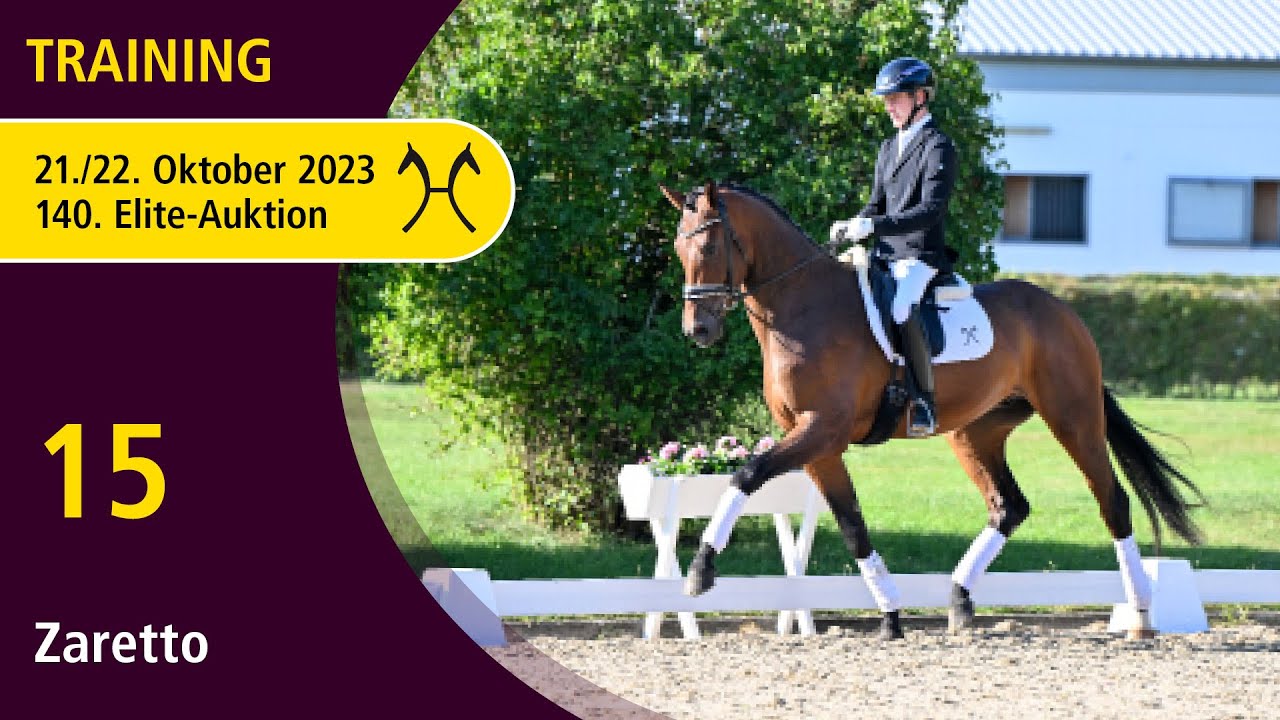 140th Elite-Auction - Training - Oct. 21/22 - No. 15 Zaretto by ...