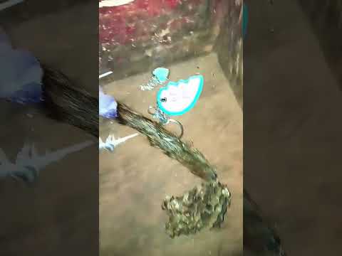 Den tour! #therian #furry #den #fort