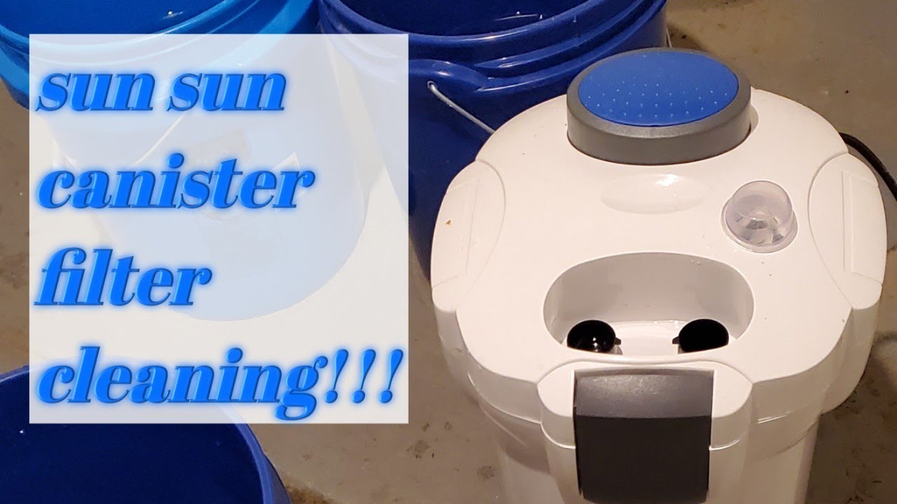 Sun Sun Canister Filter with Lava Rock!!! - YouTube