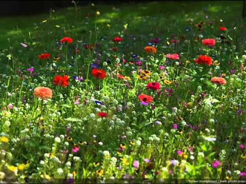 2014 İlahi Dinle ya hay 2014 İlahi Dinle