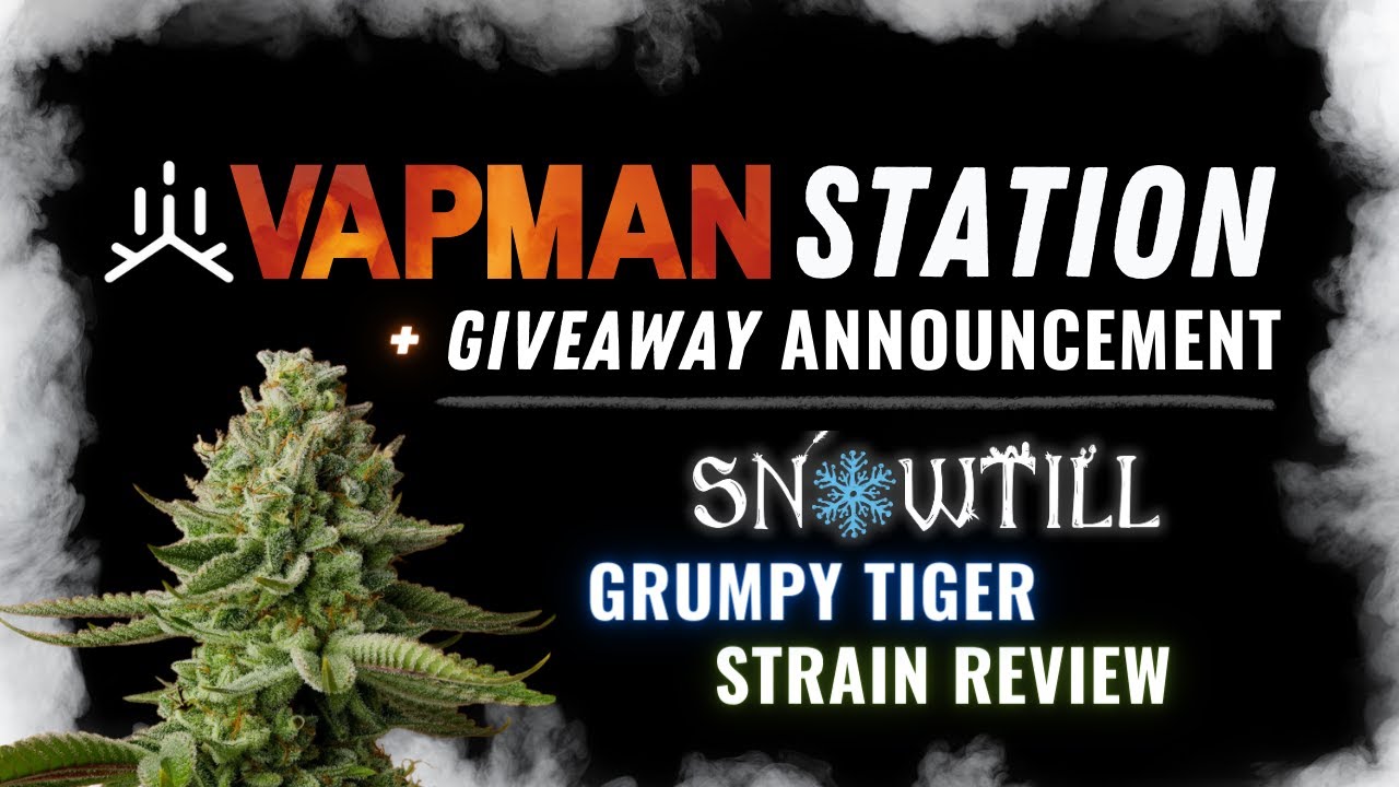 Vapman Station Re-released and Snowtill's Grumpy Tiger - YouTube