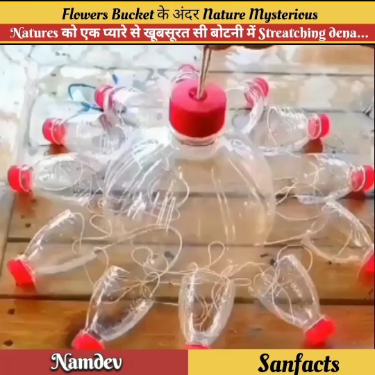 Thrilling Flower Bucket Revelation | Nature Expedition। #shorts #nature ...