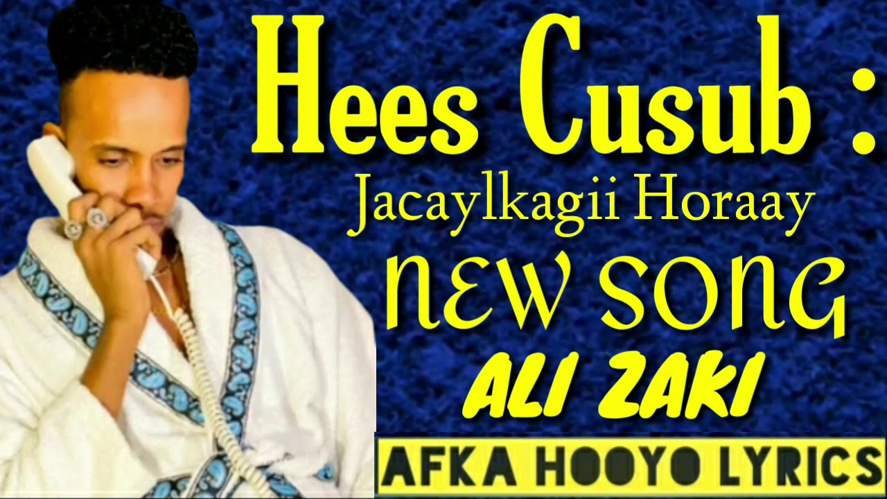 CALI ZAKI | JACAYLKAYGII HORAAY | OFFICIAL MUSIC VIDEO 2022 REMAX - YouTube
