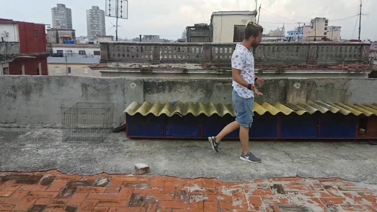 Palomeros Cubanos Palomeando en Cuba con Marcel 2017 - YouTube