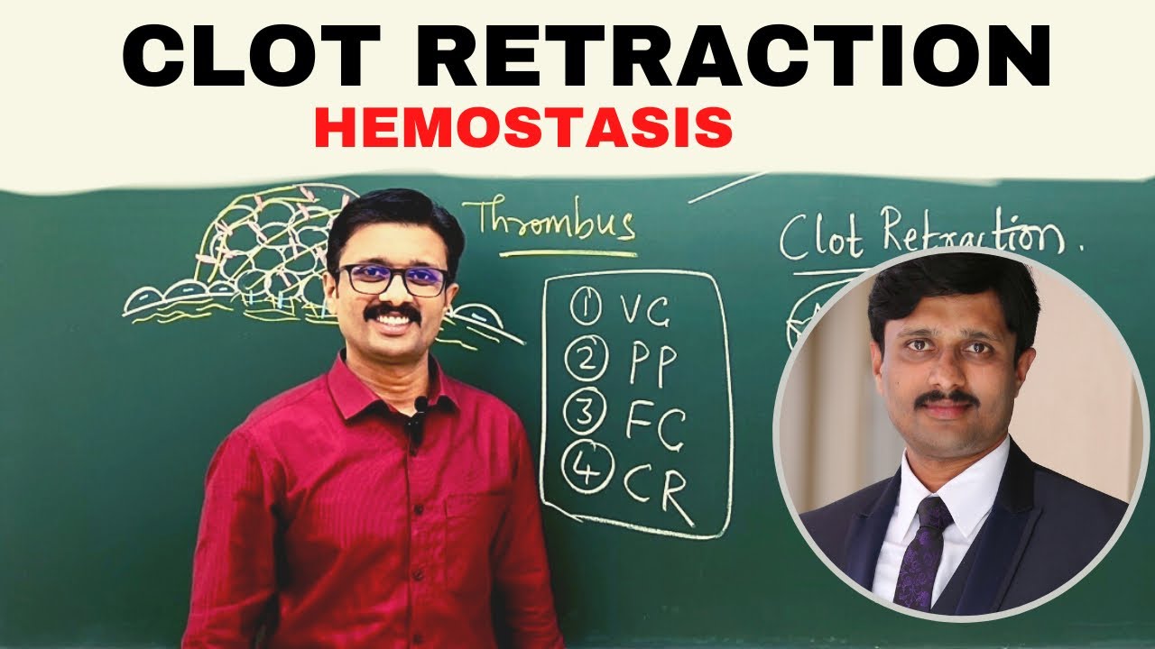 6. Clot Retraction - YouTube