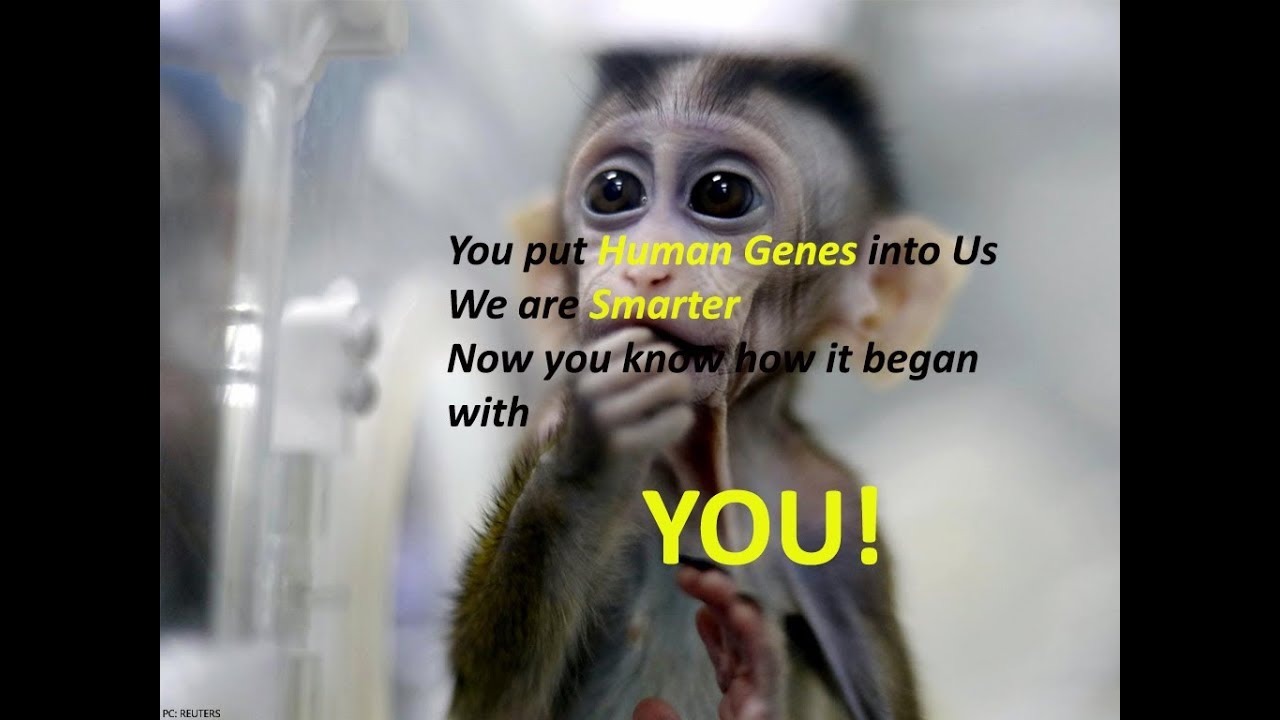Now We Know - YouTube