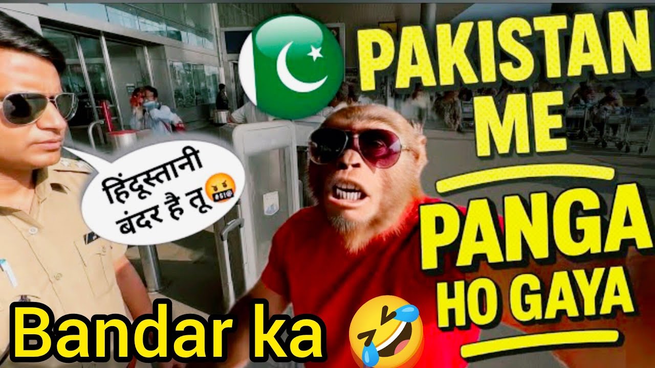 AI Monkey Vlog | Create AI vlog with VEO 3 | Viral Monkey Vlog - YouTube
