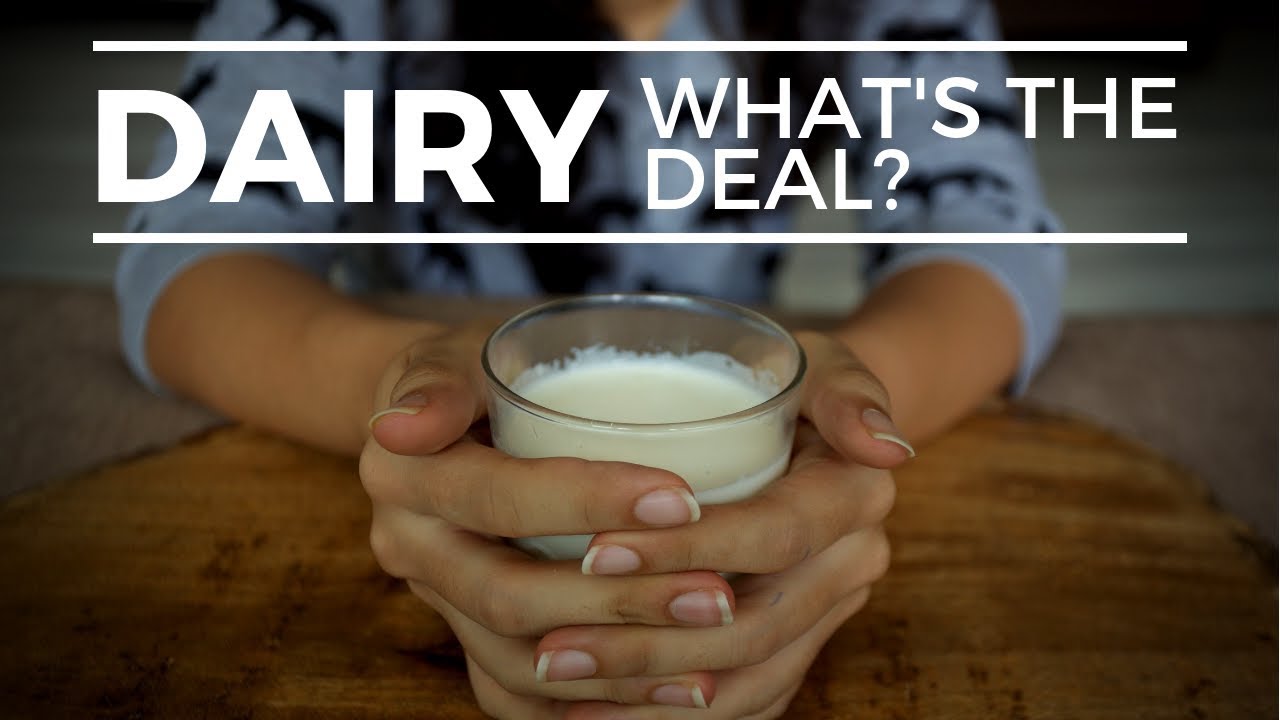 Is Dairy Good or Bad For You? | 3 Dairy Myths Debunked - YouTube