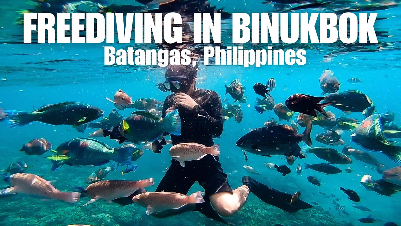 Freediving in Binukbok, Batangas, Philippines - YouTube