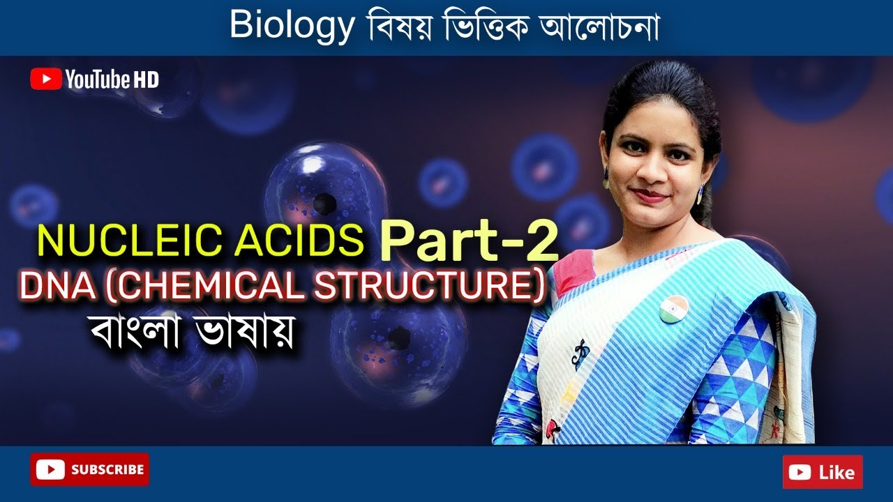 DNA | Part-2 |Chemical Structure of DNA | Bengali | Biologenetic ...