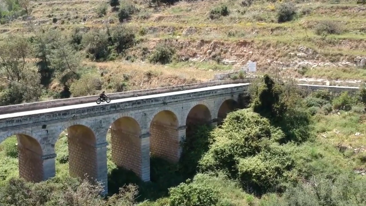 Japanese Mamba - YouTube