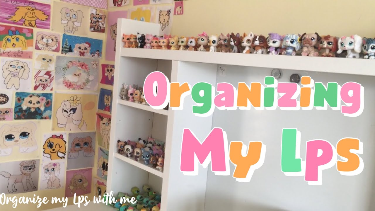 Organize My LPS With Me | Organizing My LPS 2022 - YouTube